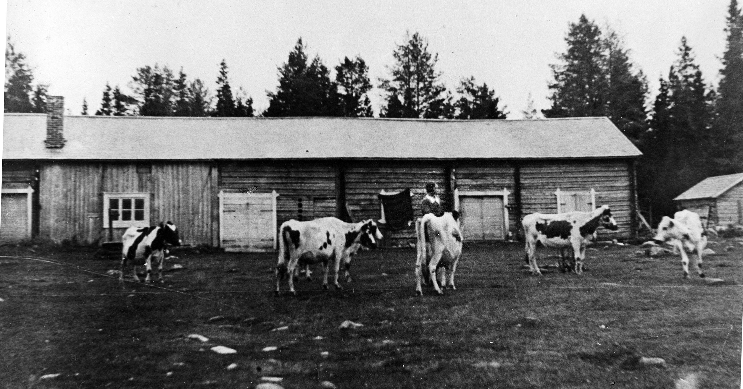 Göstas bilder | Önnesmark